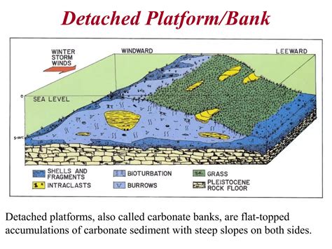 Carbonate Depositional Systems Ppt Geology Science