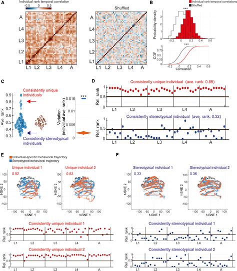 Mapping The Developmental Structure Of Stereotyped And Individual
