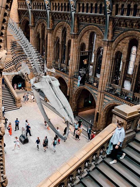 Londons Museums A Complete And Honest Guide