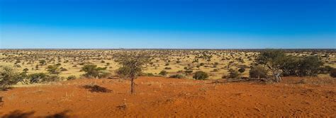 Kalahari Desert Climate