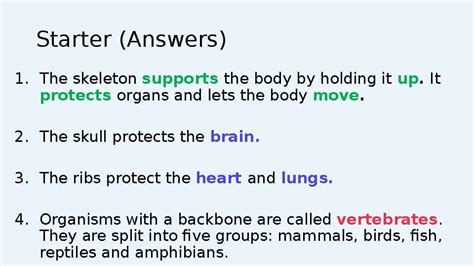 Muscles And Joints Lesson Ks2 Primary By Troilo Science Tpt