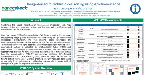 Image Based Cell Sorting With Epi Fluorescence Microscopy