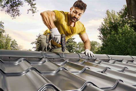 Cea Mai Recomandată Tablă Pentru Acoperiș Hornbach