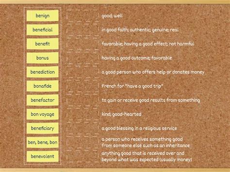 Stems Ben Bene Bon Match Up