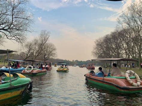 双线性插值简单介绍 知乎