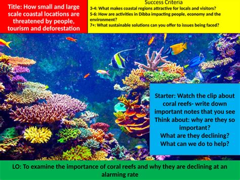 Igcse Geography Coasts Coastal Environments Edexcel Full Unit Of Work Teaching Resources