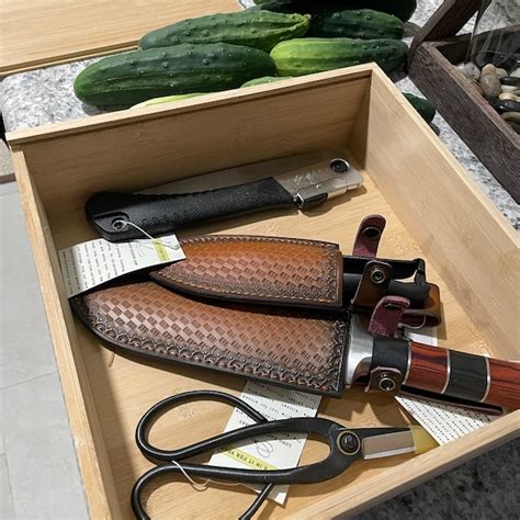 Wheatgrass Grow Kit Grow Your Own Wheatgrass Superfood In Your Home Or