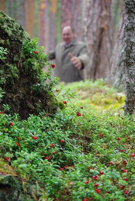 Loksa Behind The Scenes Scrolller