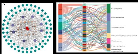 Analysis Of The Component Target Pathway Network A Download Scientific Diagram