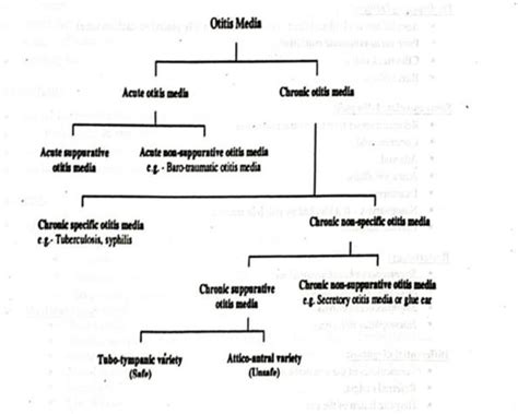 Otitis Media Chapter 10 Medical And Surgical Nursing Nursing