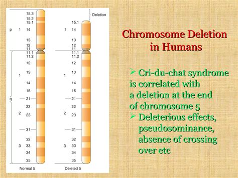 Chromosomal Mutation Ppt