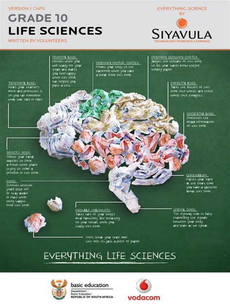 Grade 10 Life Sciences Overview Pdf Scientific Method Experiment