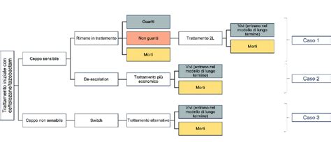 Setting Di Trattamento Confermato Dopo Antibiogramma Download Scientific Diagram
