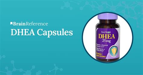 Dhea Capsules Review 8 Things You Should Know