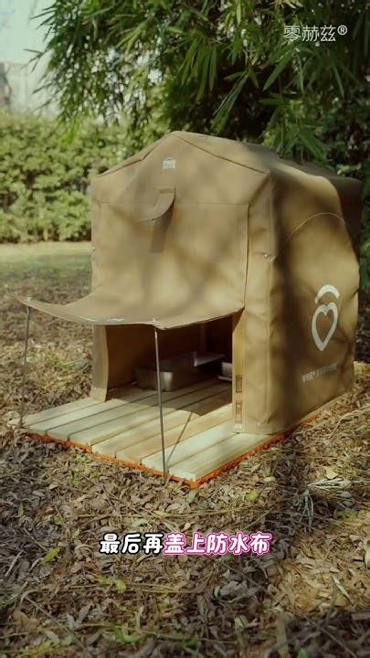 楼拉猫救助。五一邂逅几只小白流浪猫，毛茸茸的模样让人心疼。见它们无处栖身，便动手搭了小屋。希望这个温暖小窝，能给小可爱们遮风挡雨～ 我和流浪猫的故事。 猫猫就是小宝宝啊 猫咪陪伴的日子