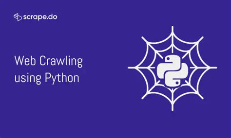 Building A Versatile Python Web Crawler From Scratch 2025 Guide