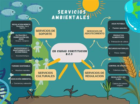 Mapa Mental Servicios Ambientales Pdf