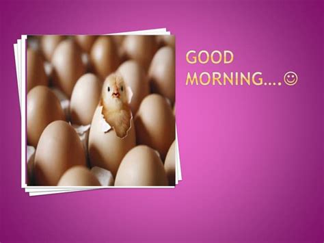 Brooding In Poultry Pptx