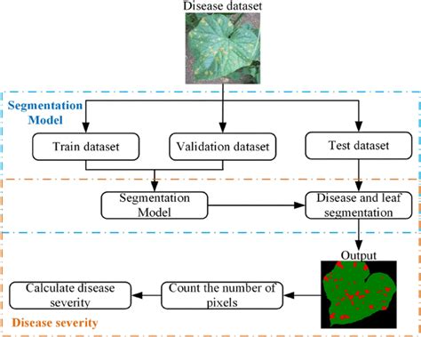 Overall Flowchart Of Severity Estimation Download Scientific Diagram