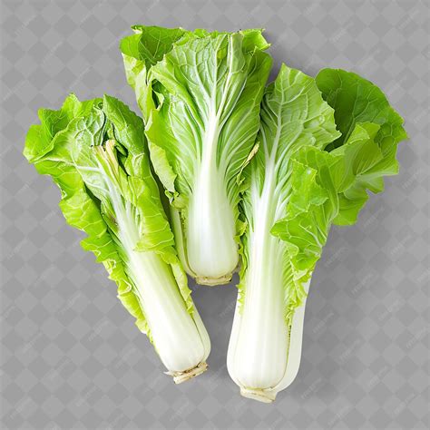 Premium Psd Png Endive Leafy Green Vegetable Tightly Bundled Leaves Characte Isolated Fresh