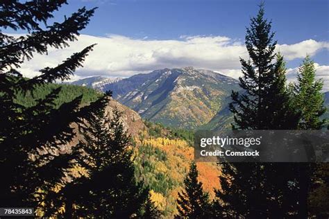Broadwood Photos And Premium High Res Pictures Getty Images