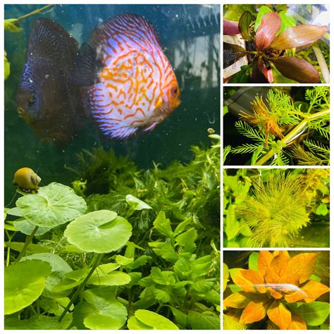 Cover Album On Imgur