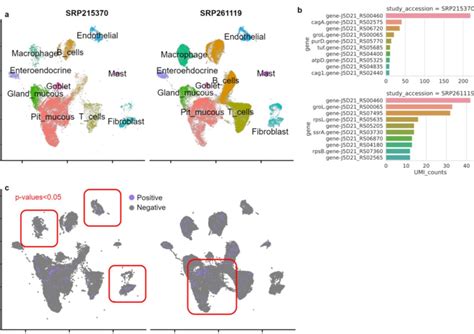 Viral Calling Meta Analysis Results On The Gc Sample A Is A Umap Plot Download Scientific