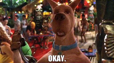 Scooby Doo Okay  Scooby Doo Okay Alright Descubrir Y Compartir S