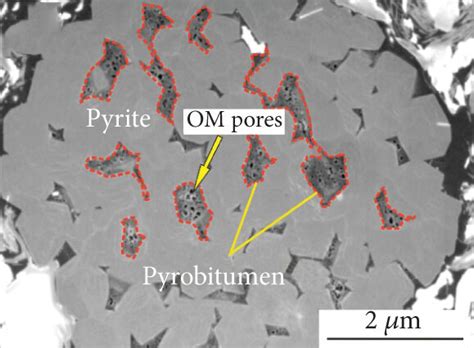 A Large Number Of Om Pores In Pyrobitumen Of Southern Guizhou Samples Download Scientific