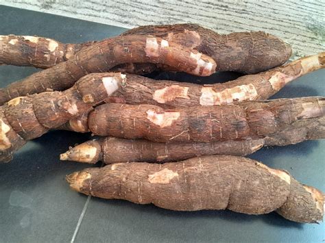 Buy Fresh Cassava Roots From Andara Farm Indonesia
