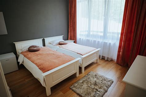 Cameră Twin Băile Puturoasa