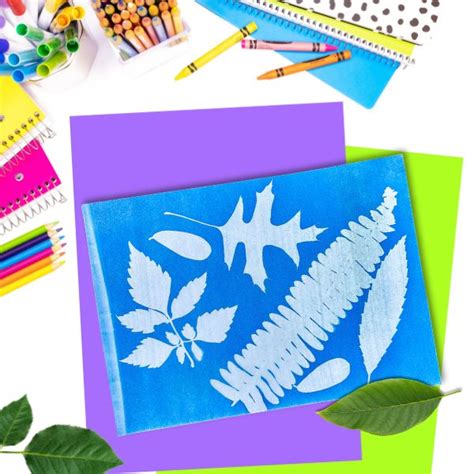 Creating Cyanotype Art Prints With Leaves A Fun Nature Activity For