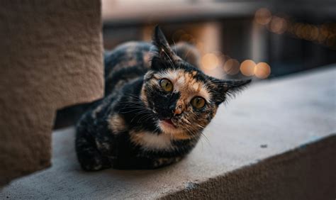 Tuff Wallpaper Photos Download The Best Free Tuff Wallpaper Stock