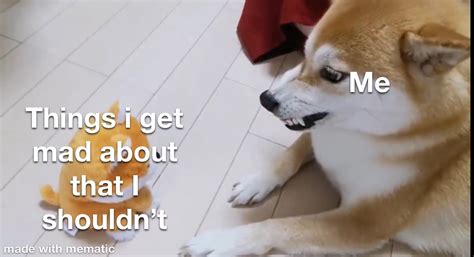 Angery Pupper Meme By Chalkytable3335 Memedroid