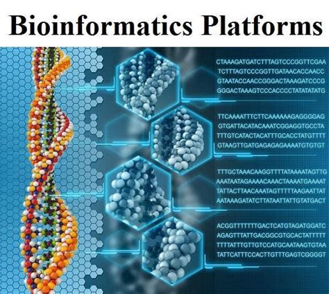 What Are Bioinformatics Platforms Poonam Cmi Medium