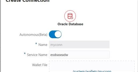 Essbase Labs Autonomous Database Support In Essbase