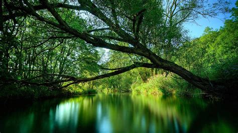 Nature Theme Wallpapers Wallpaper Cave