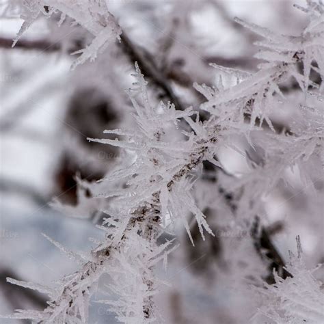 Frozen Crystals