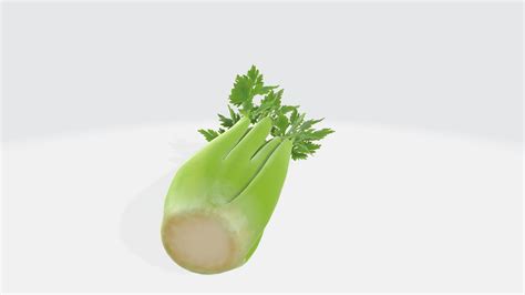 Celery Model Turbosquid 2347323