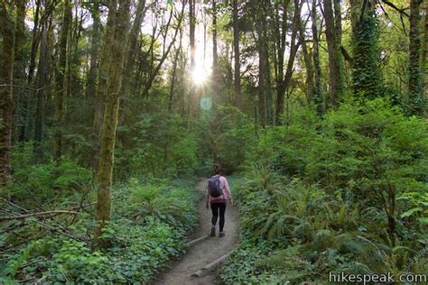 Marquam Nature Park Portland