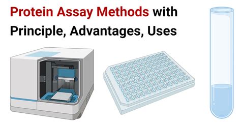 Protein Assay Methods With Principle Advantages Uses