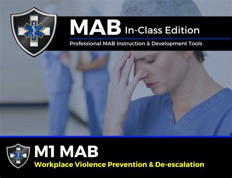 Online Mab Training 2024 Mabpro