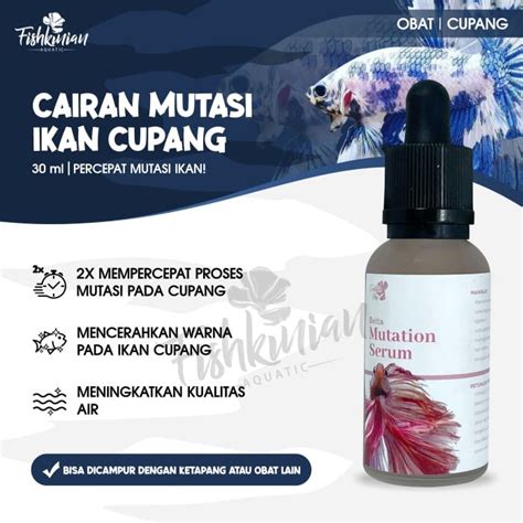 Betta Mutation Serum Betta Mutation Fluid Indo4ward