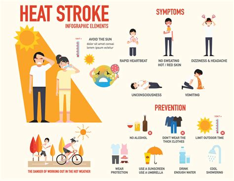 Heat Stroke Symptoms And Prevention Vector Cartoon Infographics Of