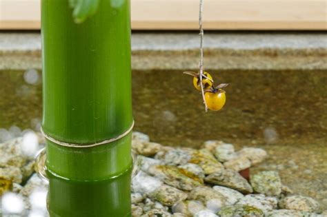 98000 Grasshopper Pump Pictures