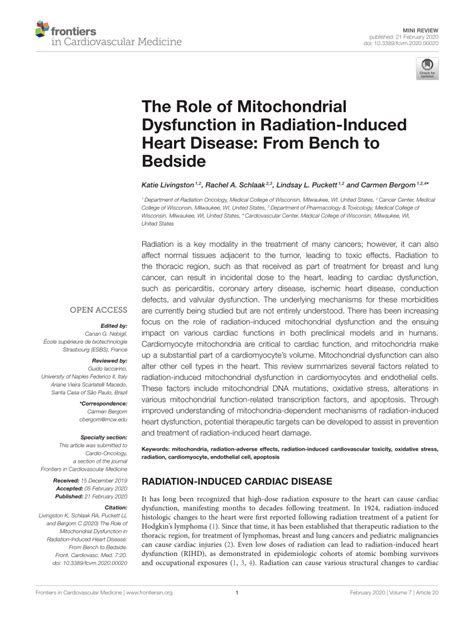Pdf The Role Of Mitochondrial Dysfunction In Radiation Induced Heart Disease From Bench To