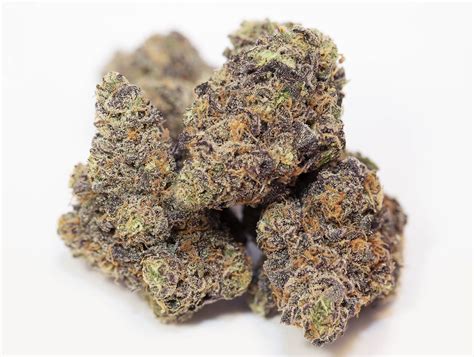 Cannabis Clones— Highline Nursery