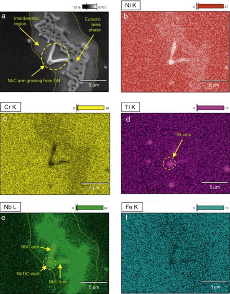 A Scanning Electron Microscope Micrograph Indicating The Presence Of