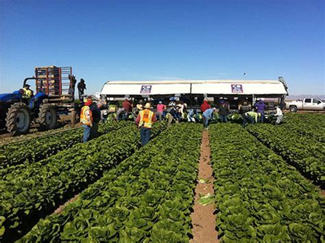 Church Brothers Farms Vegetable And Salad Growers Church Brothers Farms
