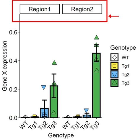 【rで統計】正規分布とrnorm Dnorm Pnorm Qnorm